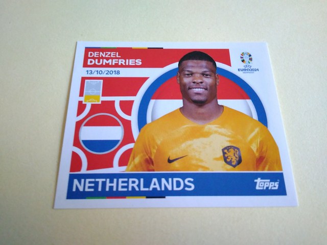 Euro Germany 2024 - NED 8