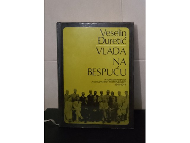 Vlada na bespucu - Veselin Djuretic