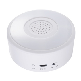 SMART HSW-008 WIFI Audible alarm