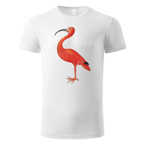 Scarlet Ibis