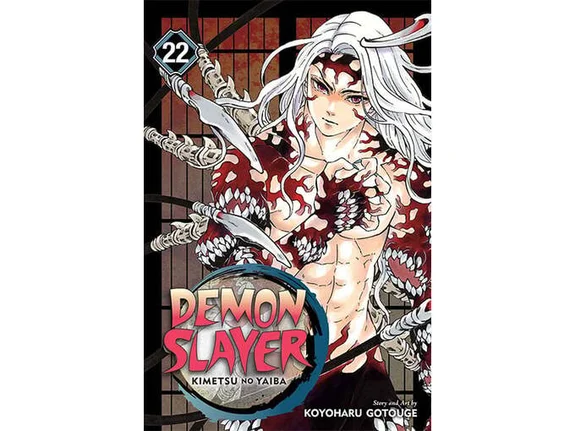 Demon Slayer: Kimetsu no Yaiba, Vol. 22