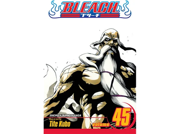 Bleach, Vol. 45