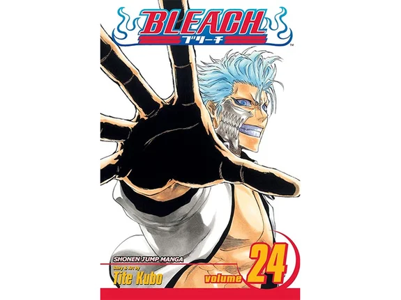 Bleach, Vol. 24: Immanent God Blues