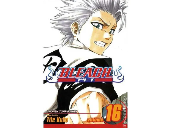 Bleach Vol. 16