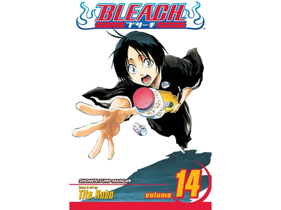 Bleach Vol. 14: White Tower Rocks