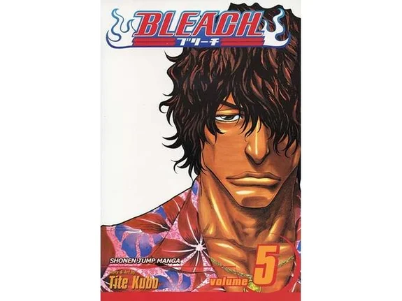 Bleach, Vol. 5