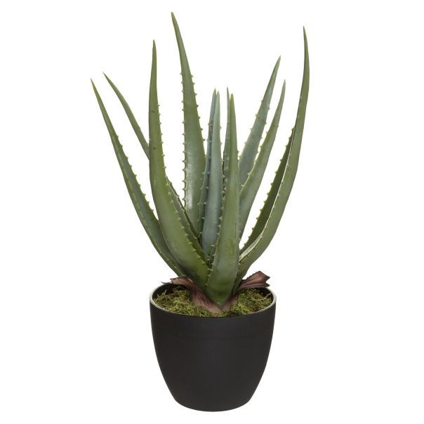 ATMOSPHERA Dekorativno cveće Aloe vera 42x39cm