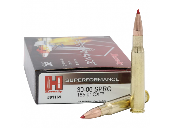 KARABINSKI METAK HORNADY .30-06 165GR CX-10,7g