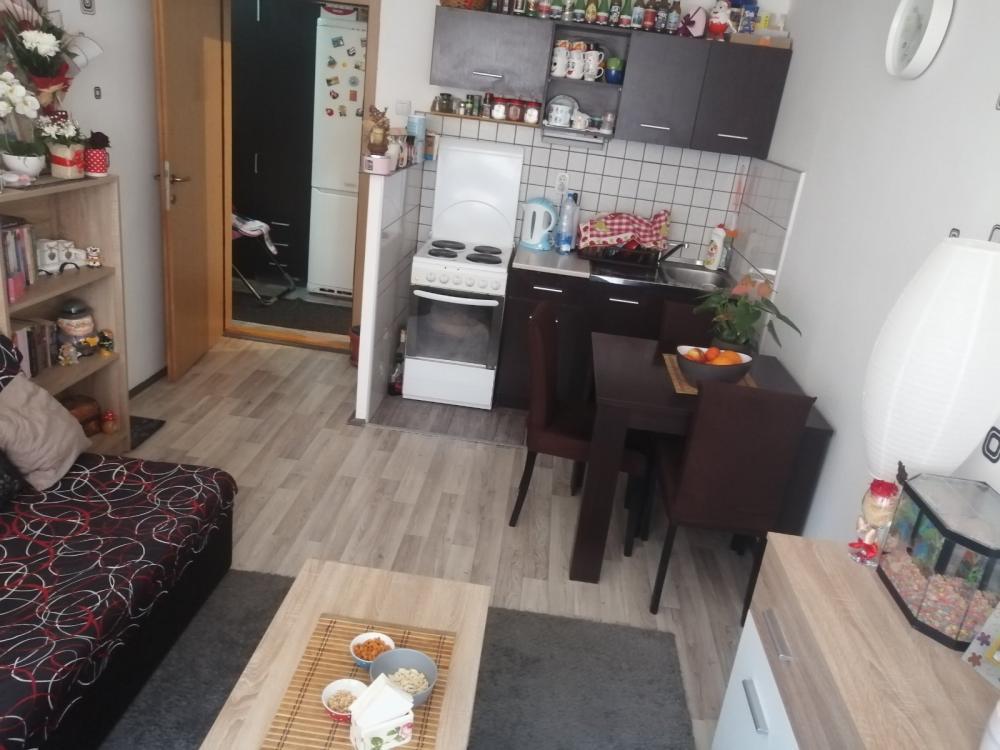 Čarnojevićem a 8, Jednoiposoban stan za izdavanje, 40m2, 270€