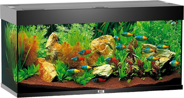 Juwel Rio 180 Akvarijum LED crni 101x41x50