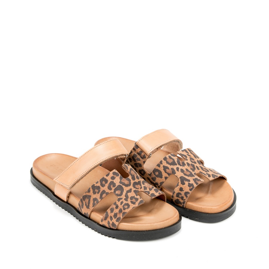 Pasito-701241 leopard