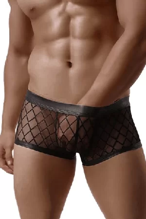 Boxer Transparent Black L, 726