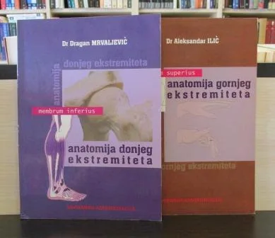 ANATOMIJA DONJEG i GORNJEG EKSTREMITETA – DRAGAN MRVALJEVIĆ