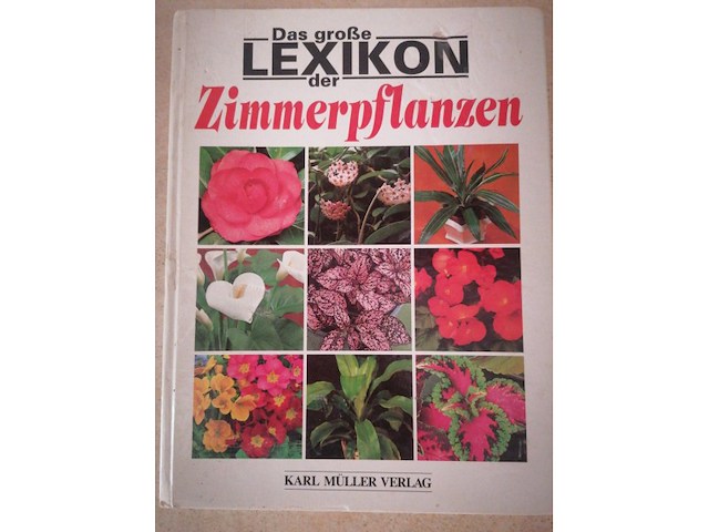 Lexikon Zimmerpflanzen