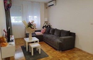 Prodajem Stan-Apartman, Nova Detelinara