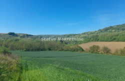 Sremski Karlovci-Fantastičan Osunčan plac 3 hektara iz 3 parcele sa pogledom za Uživanje-065/385 8880
