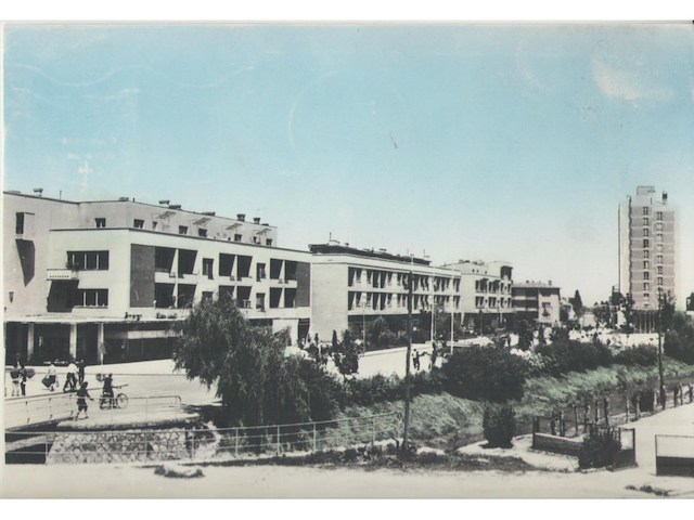 Loznica iz 1966