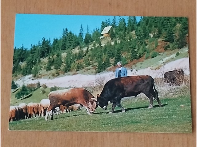 Zlatar - Nova Varoš - Babić Brdo - Čista -