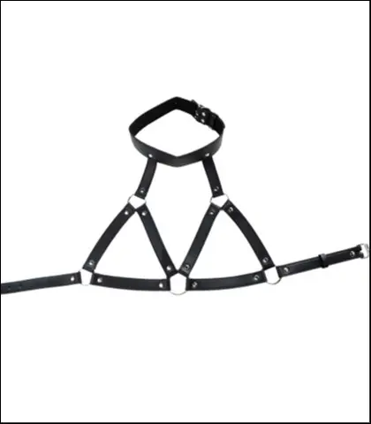 Seksi Harness