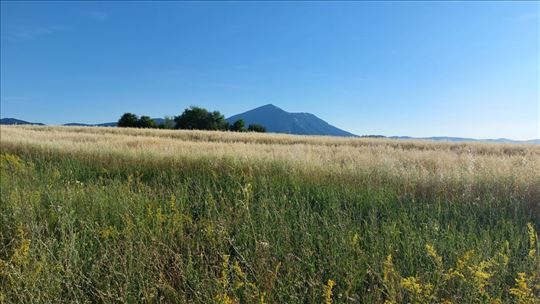 Boljevac, Rtanj - Valakonje 1ha 3a 35kvm