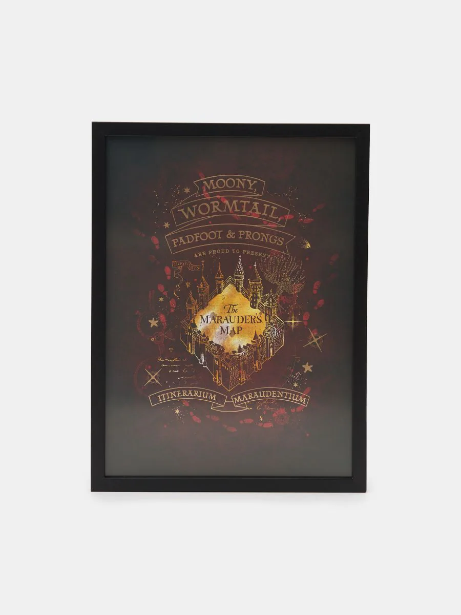 Plakat Harry Potter