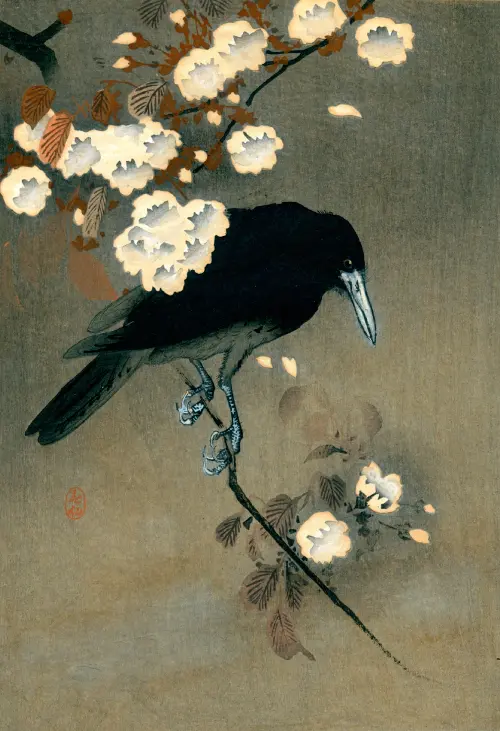 Crow and Blossom