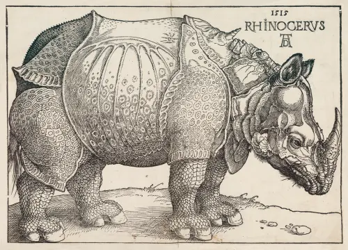 The Rhinoceros (1515)