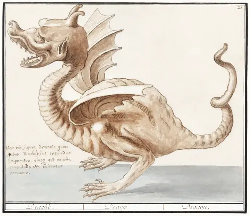 Dragon (1596–1610)