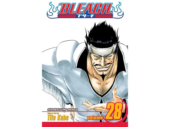 Bleach: Vol. 28