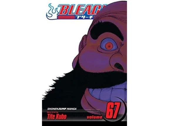 Bleach, Vol. 67