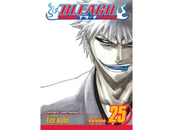 Bleach, Vol. 25: No Shaking Throne