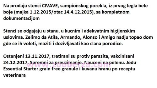 Civava kratkodlaka-stenci-pedigre, pasos, cip