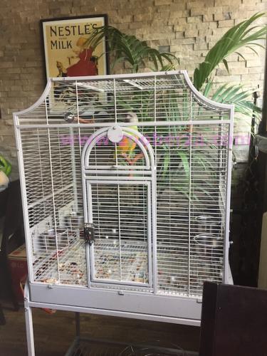 Montana cage Model Madeira I Antique