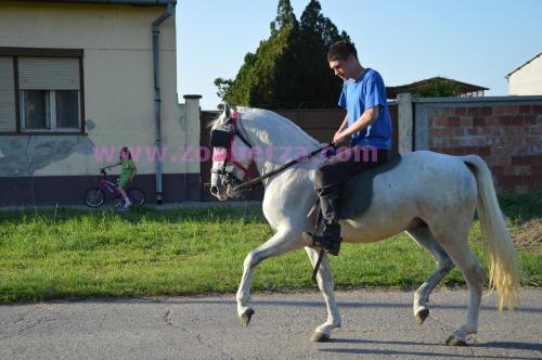 65 Konverzano-Gaetana 3