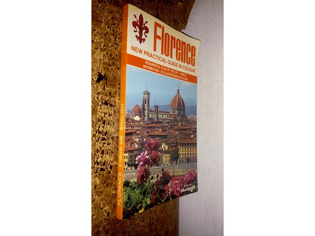 Florence, new practical guide in color