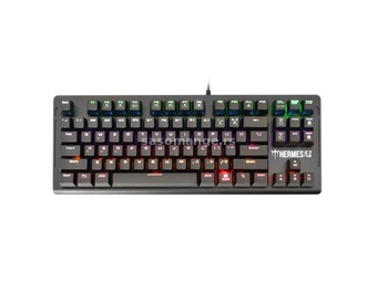 Tastatura Gamdias Hermes E2 Mehanička brown switch