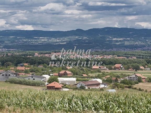 prodaja, zemljište poljoprivredno, Kragujevac Divostin