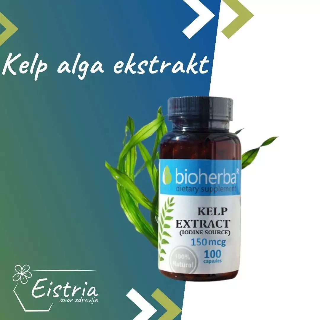 Kelp alga ekstrakt prodaja