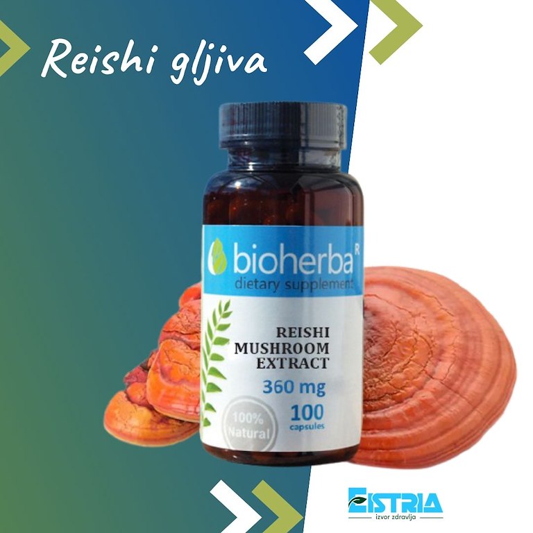 Reishi gljiva ekstrakt