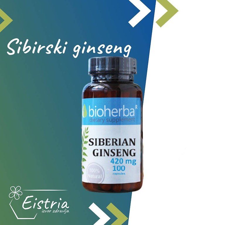 Sibirski ginseng prodaja