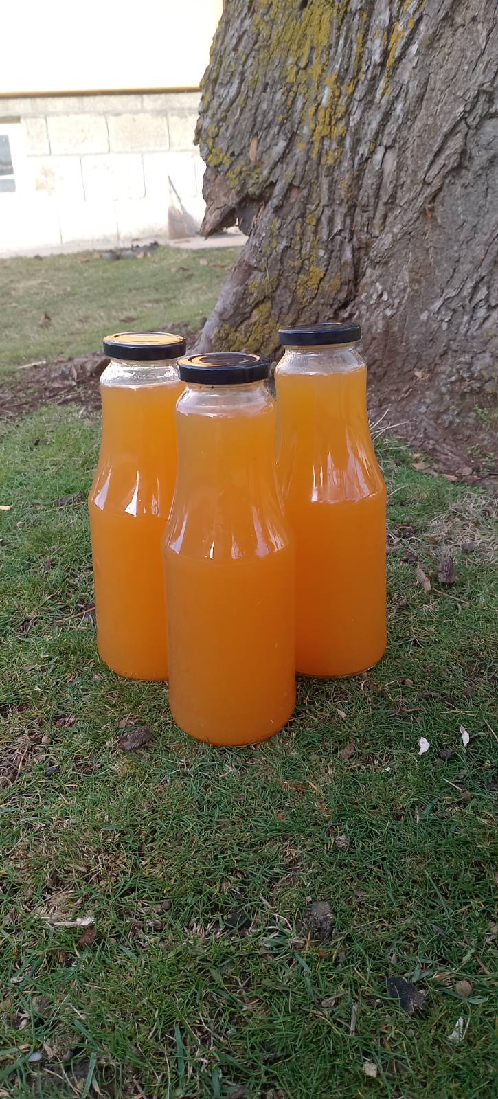 Prirodan sok – jabuka, šargarepa, kruška, dunja (cena po litru)