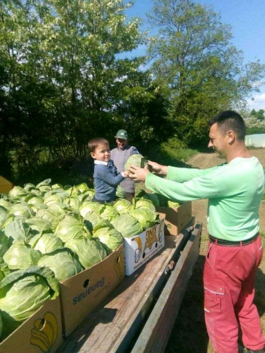 Poljoprivredno Gazdinstvo Radovanovic