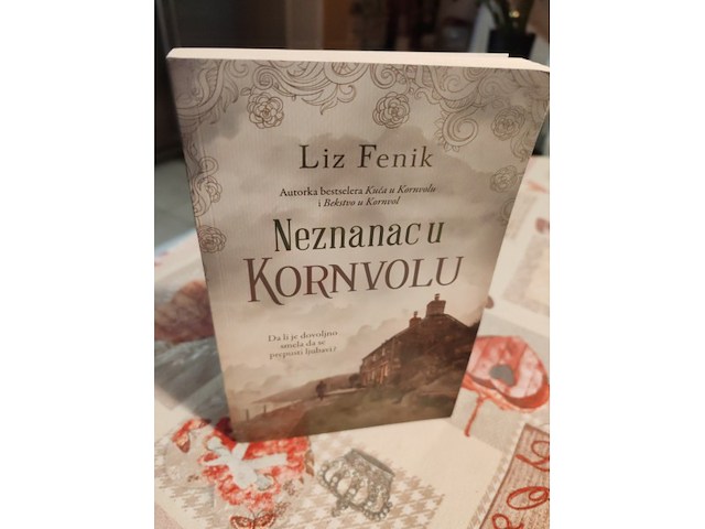 Neznanac u Kornvolu - Liz Fenik