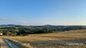 Prodajem plac 50 ari Arandjelovac