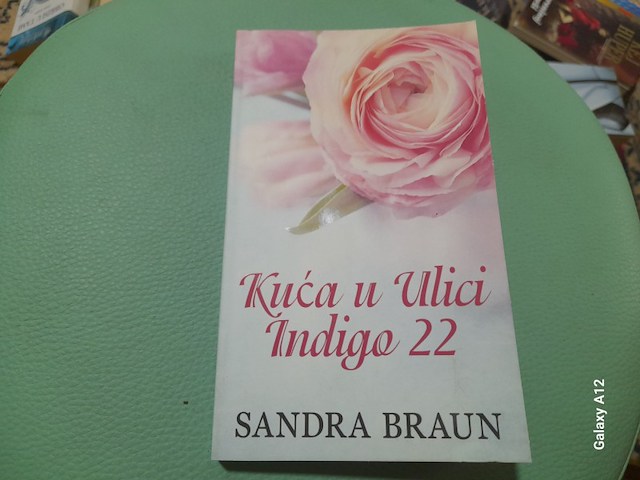 Sandra Braun Kuća u ulici Indigo 22