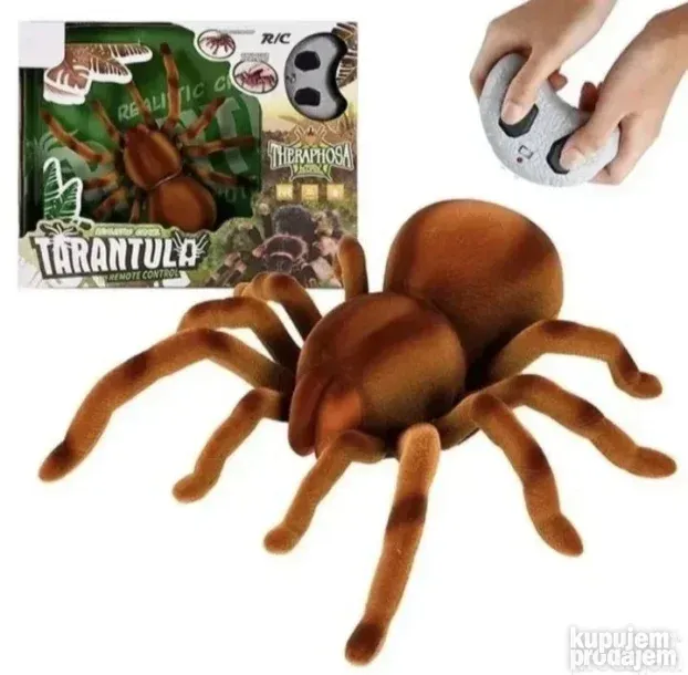 Pauk tarantula na daljinsko upravljanje