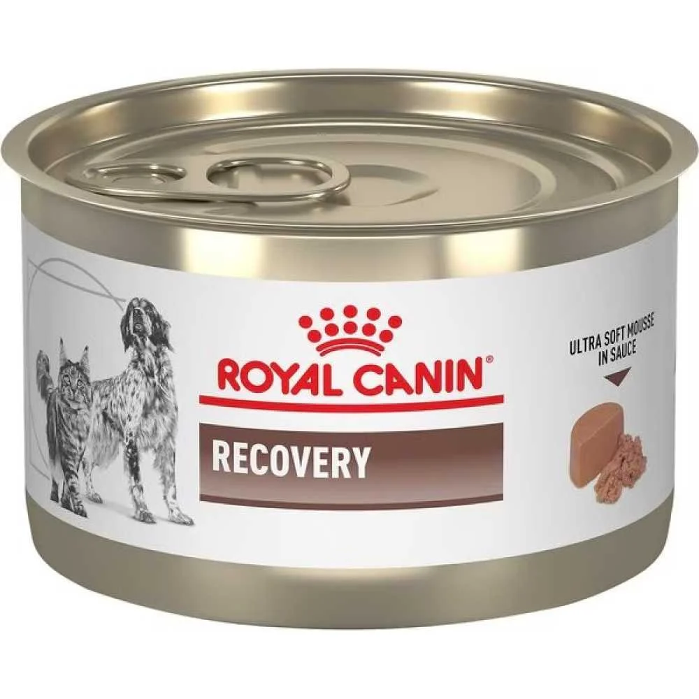 Royal Canin veterinarska dijeta dog&cat Recovery 195g