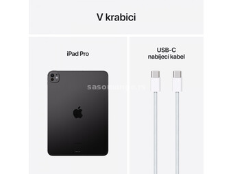 Apple 11-inčni iPad Pro M4 Wi-Fi + Cellular 2TB sa nanoteksturisanim staklom - Space Black