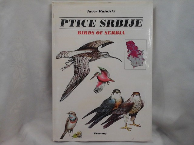 Ptice Srbije Javor rašajski birds of serbia