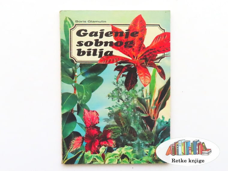 Gajenje sobnog bilja – na prodaju